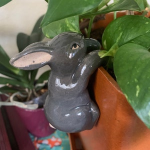 Handmade Charcoal Grey Ceramic Henry Hamster Footed Planter | Etsy