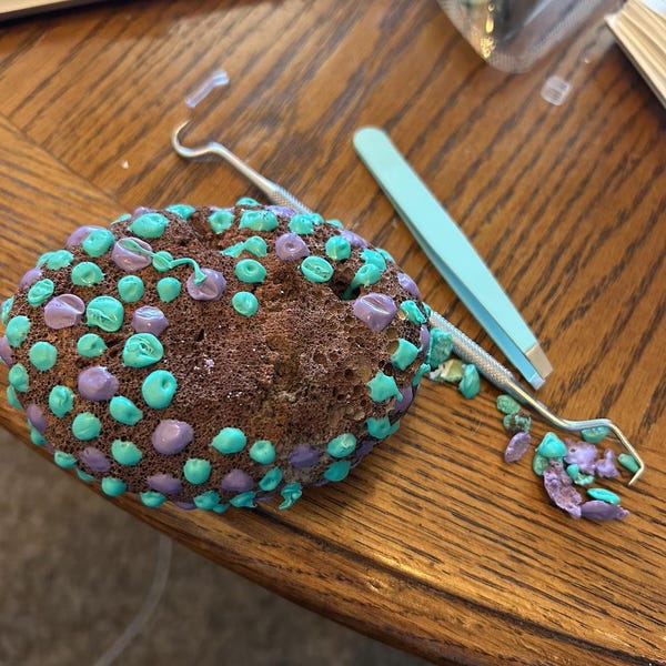 Picky Party® Sensory Picking Stone Purple and Caribbean Blue (tweezer ...