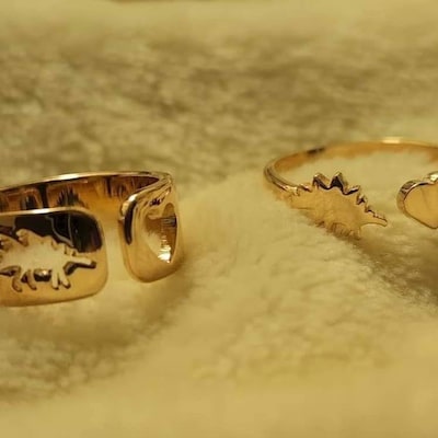 Dinosaur Heart Promise Ring for Couples Dino Jewelry, Matching His and ...