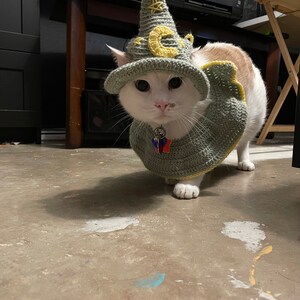 Wizard Costume for Cat, Wizard Hat for Cat, Wizard Pet Costume - Etsy