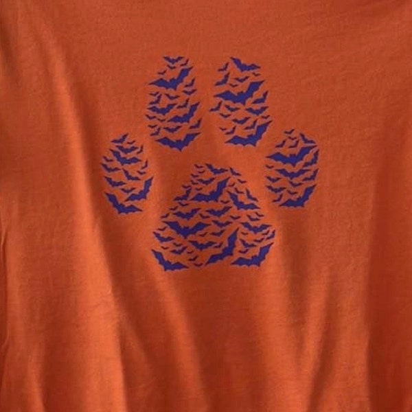 Ohio Script Buckeye State Logo, Design for Crafting, Cricut, Silhouette ...