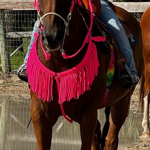 Bit Hobble, Curb Strap, Chinstrap, Horse Tack, Paracord Horse Tack ...