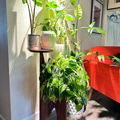 Three Tier Plant Stand, Maple, Mid-century Modern, Solid Hardwood - Etsy
