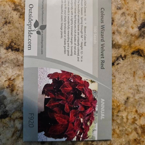 Wizard Red Velvet Coleus Seeds - Shade Garden Plants - 100 Seeds - Etsy