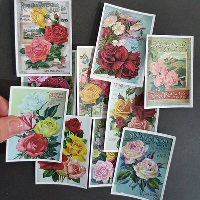 Vintage Butterfly Stickers Retro Butterfly Vellum Stickers - Etsy