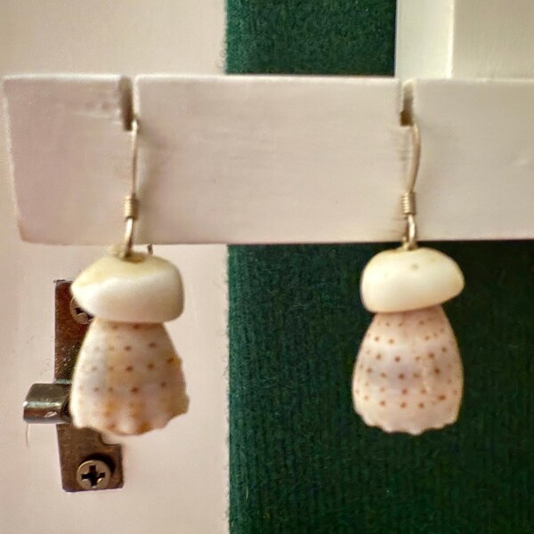 Kahelelani Shell Necklace Rare Shells Shell Lei Kauai Shells Hawaiian ...