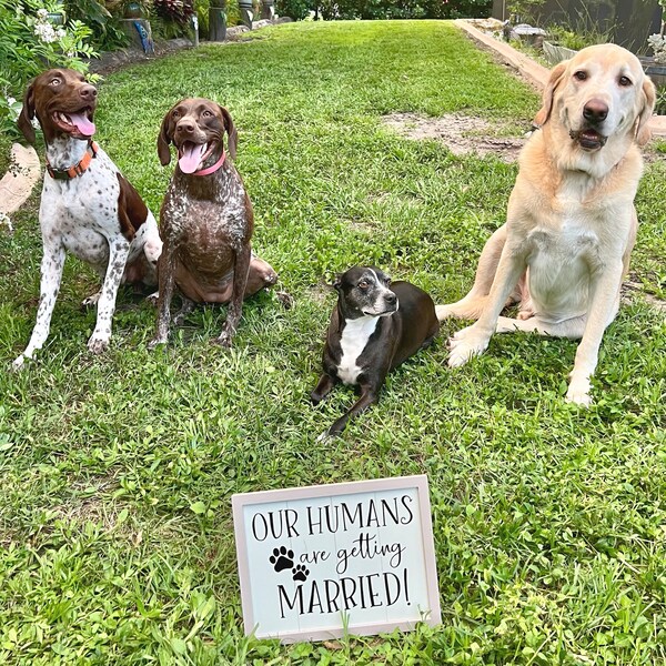 Our Humans Are Getting Married Svg, Wedding Sign Svg, 2 Two Dog ...