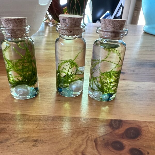 Glass Bottles With Corks, 5, 10, 15, or 20 Ml Clear Empty Jars With Cork Stopper Lids, Vials for ...