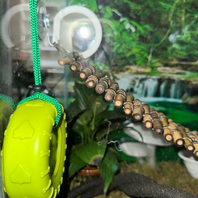 Printable Critter Tracker Reptile Feeding Tracker Feeding Tracker ...