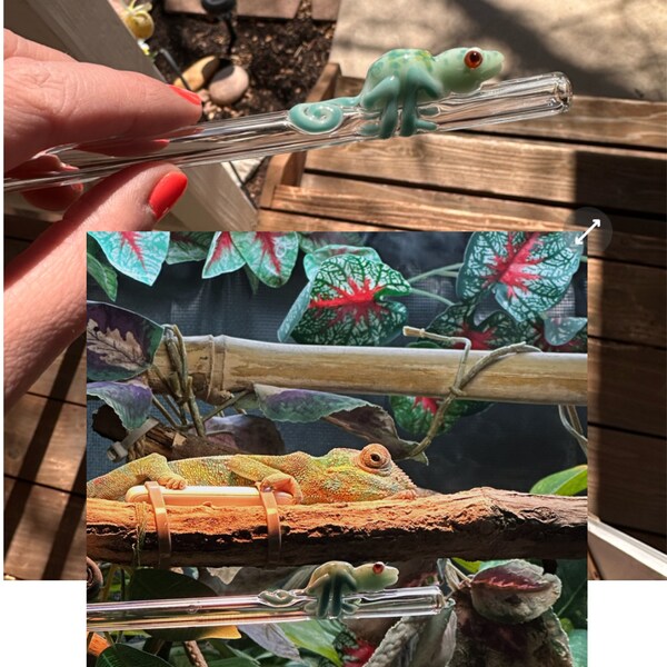Chameleon GLASS STRAW - Reusable Straws | Glass Straws | Chameleon ...