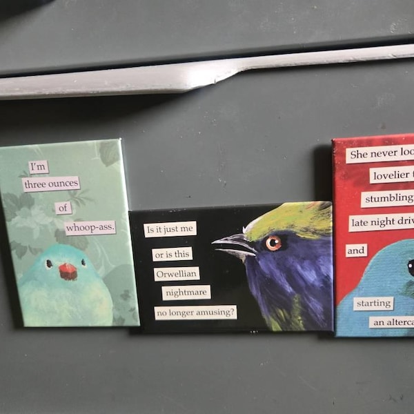 Orwellian Nightmare Magnet - Bird - Humor - Gift - Stocking Stuffer ...