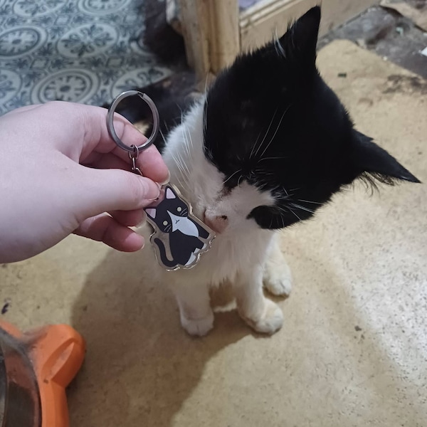 Meerkat Waterproof Vinyl Sticker Kawaii Chibi Wild Animal Mongoose ...