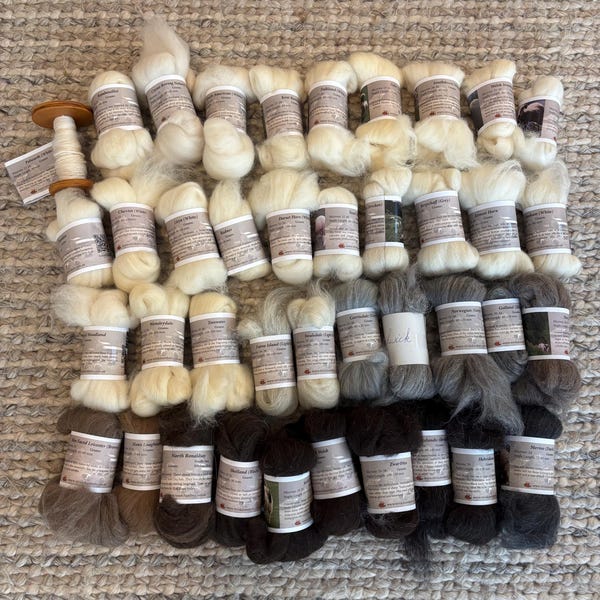 40 Sheep Breed Study Samples - Combed Top Wool Fibre - 1 Kilo - Etsy