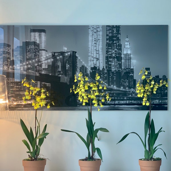 New York City by Night Acrylic Glass Print - Metropolis Panorama - Art ...