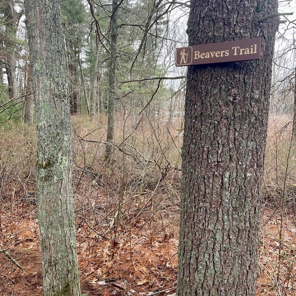 Custom Trail Sign - Etsy