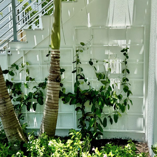 Classic Metal Garden Trellis, Single Trellis Panel, Aluminum, Handmade ...