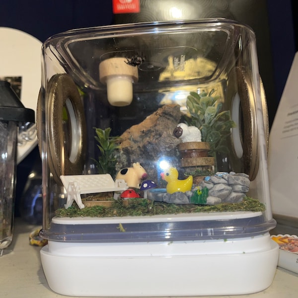 Jumping Spider Enclosure, 5x5x5 Spider House, Spider Tank, Spider ...
