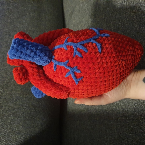 Crochet Pattern Anatomical Heart, Amigurumi Human Heart - Etsy