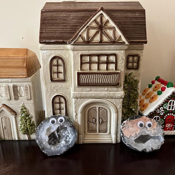 Mini Beach Zen Garden DIY Kit | Sea Turtle Zen Garden | Meditation ...