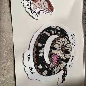 Hognose Snake Dramatic Playing Dead Funny Reptile Vinyl Sticker - Etsy