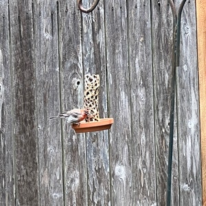 SET OF 2 Unique Saguaro Boots Rustic Home Decor Arizona Desert ...