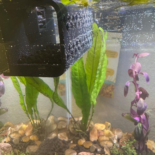 Finnex Stingray Original LED Light Riser, Attractive Stable Elevated ...