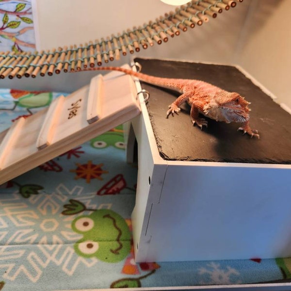 Rabbit Ramp With SIDES Option 14lb 5.5-11.25 Inches Wide 10-70 Long Rex ...