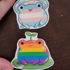 Pride Frog Charity Stickers LGBTQ Flag Frog Gay Pride Sticker Decal ...