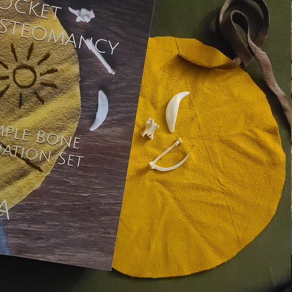 Pocket Osteomancy: A Simple Bone Divination Set Paperback Book, BLANK ...