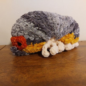 Crochet Roll-up Isopod Pattern - Etsy