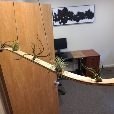 Wall Mount Diamond Planter With Saucer Geometric Wall - Etsy