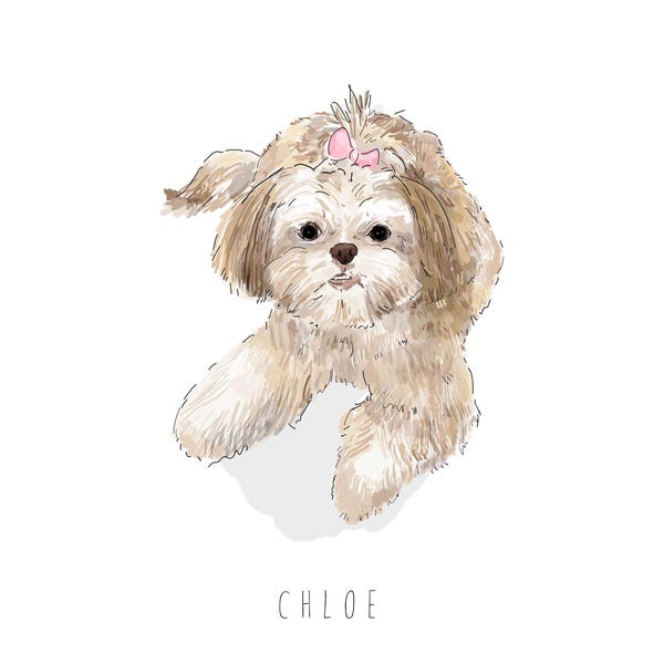 Sheepadoodle Illustration / Doodle Dog Drawing / Pet Lovers Gift / Life ...