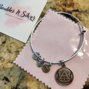 Alex and Ani M Initial Bangle Bracelet, Rafaelian Silver/gold, or Silver Retired and Rare ...