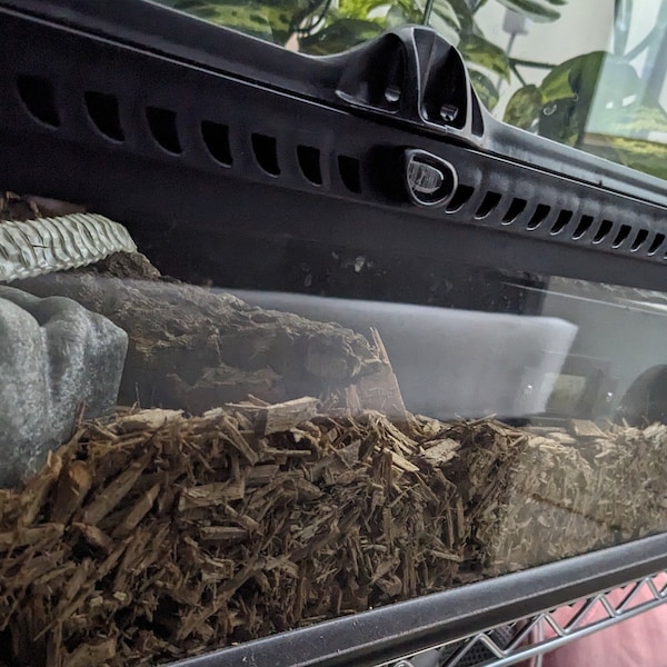 Reptile Humid Hide With Thermometer/hygrometer - Etsy