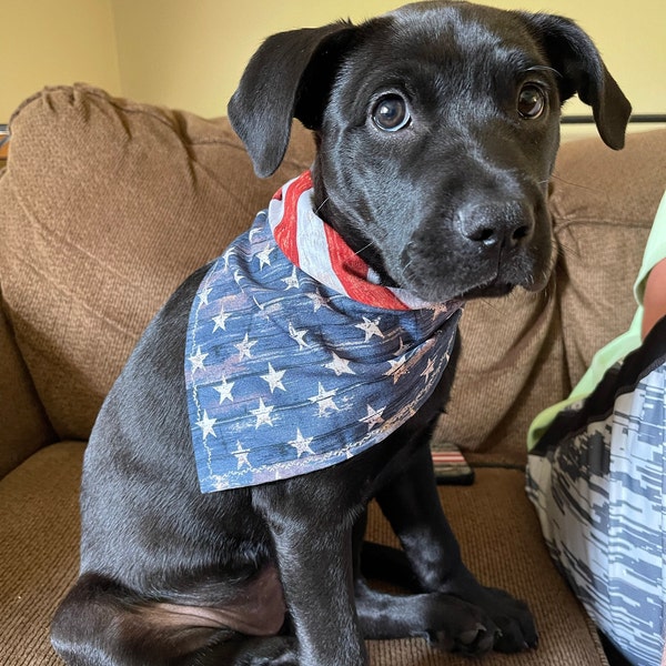 American Flag - Patriotic - 4th of July - Dog Bandana - Red White Blue ...
