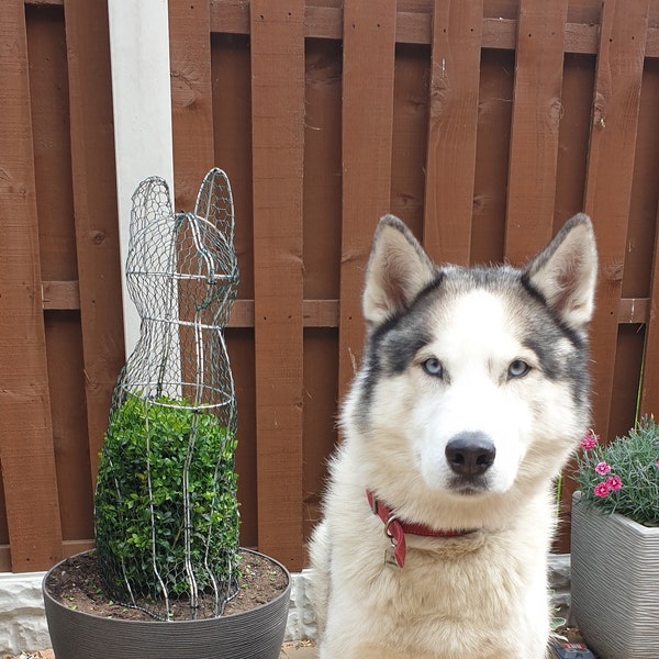 Handmade Topiary Rabbit Frame - for Plants - Perfect for the Budding ...