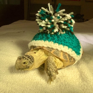 Crochet Strawberry Costume for Turtles/ Tortoises - Etsy