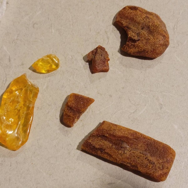AMBER BALTIC / Raw Baltic Amber Stone Stones Bernstein Natural Bursztyn ...