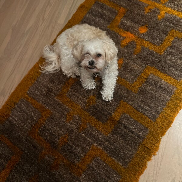 Vintage Faded Pale Colors Rug for Home and Nursery Decor, Low Pile ...