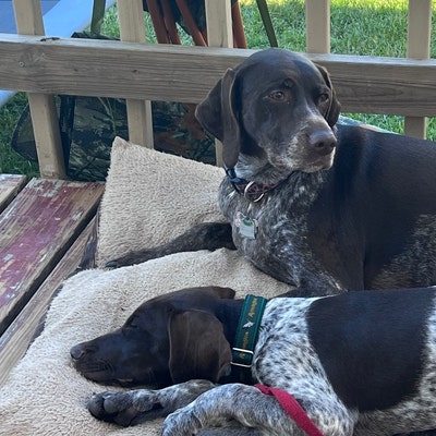 Men's Tapered Leather Golf Ribbon Belt/jacquard Golf - Etsy