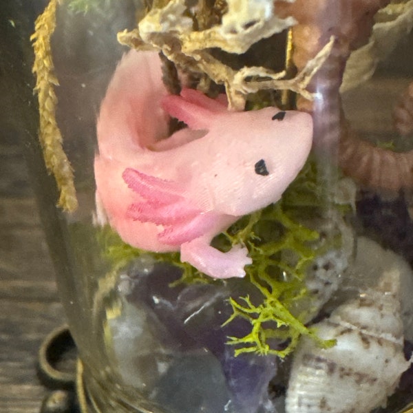 1:6 Scale Miniature Axolotls Dollhouse Amphibians-fashion Doll or Elf ...