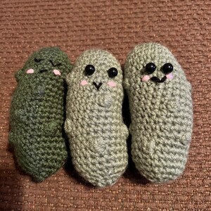 PATTERN ONLY, Easy Pickle Crochet Pattern, Instant DOWNLOAD - Etsy