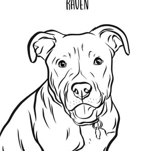 Outline Pet Drawing/ Minimalist Line Art Commission/ Custom - Etsy