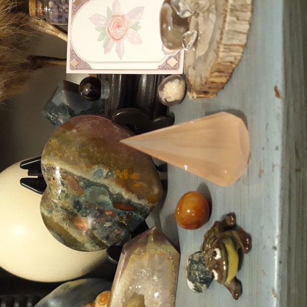 Large Ammonite Shells - Etsy