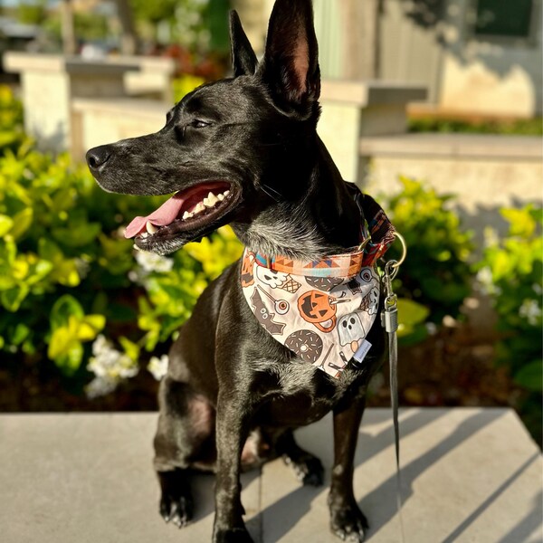 Moon Stick Pet Bandana, Sailor Moon Dog Bandana, Anime Pet Bandana ...