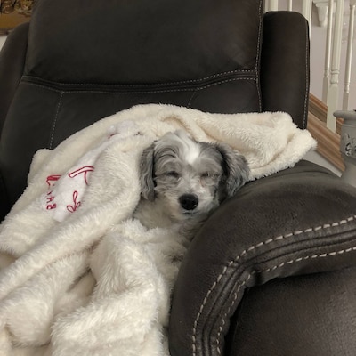 Star Wars Book Nook or Display Stand Complete Kit No Tools - Etsy