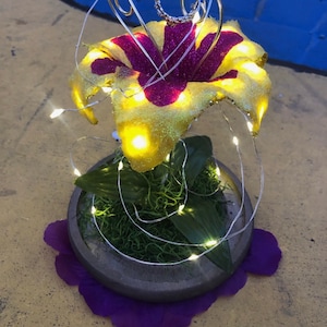 Tangled Flower Rapunzel Flower Tangled Magic Golden Flower Tangled ...