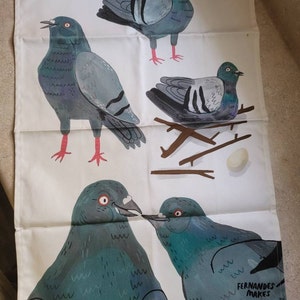 Printable Water Birds Colouring Sheet Seagull, Pigeon, Bird Nerds ...