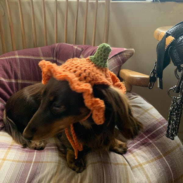 Santa Ruffle Dog Hat Crochet PATTERN - Etsy