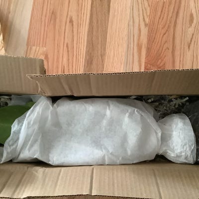 Double Rose Pikake hawaiian Pronunciation of peacock a Sweet-smelling ...